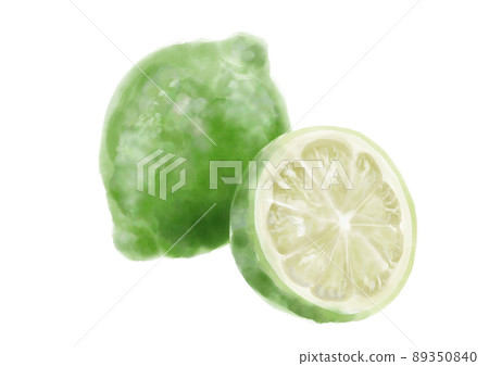 Hand drawn lime - Stock Illustration [89350840] - PIXTA