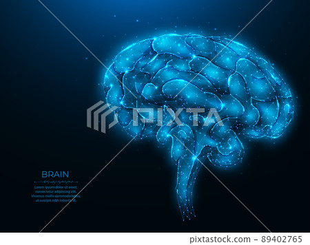 Polygonal human brain vector illustration on... - Stock Illustration ...
