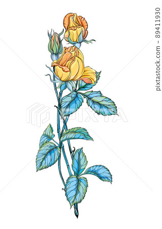 Three beautiful yellow roses isolated on the... - Stock Illustration ...