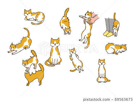 Various cat poses Happy pets living with humans... - Stock Illustration ...