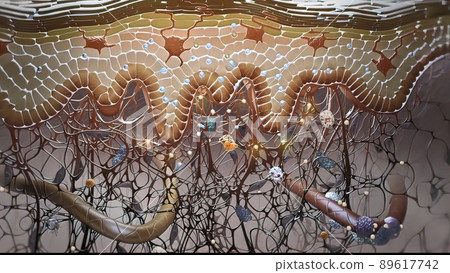 Microbiology illustration cells that protect... - Stock Illustration ...