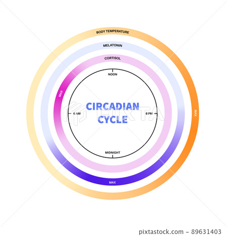 Sleep wake cycle - Stock Illustration [89631403] - PIXTA