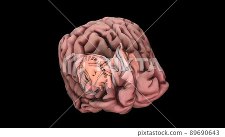 Brain damage is an injury that causes the... - Stock Illustration ...