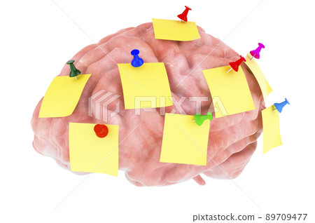 Human Brain with sticky notes, 3D rendering - Stock Illustration ...