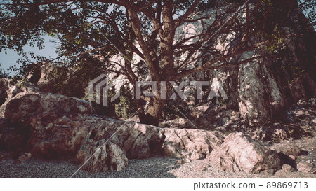 big tree with rock formations on the mountainside - Stock Illustration ...
