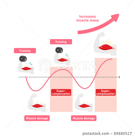 Strength Training / Muscle Training /... - Stock Illustration [89880527 ...