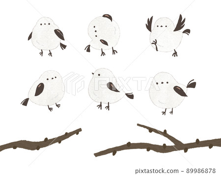 Shimaenaga - Stock Illustration [89986878] - PIXTA