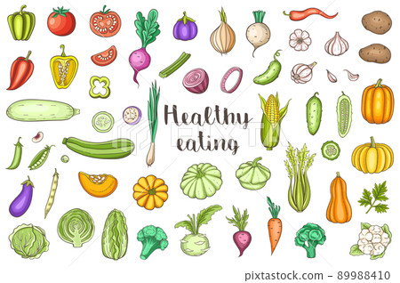 Set of hand drawn doodle vector vegetables - Stock Illustration ...