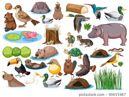 Different kinds of wild animals collection - Stock Illustration ...