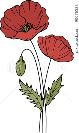 Birth Flower - August, Poppy - Stock Illustration [90076528] - PIXTA