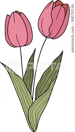 Birth Flower - April, Tulip - Stock Illustration [90076536] - PIXTA