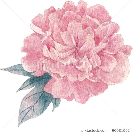 Pastel tropical floral watercolor png clipart - Stock Illustration ...