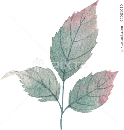 Pastel tropical floral watercolor png clipart - Stock Illustration ...