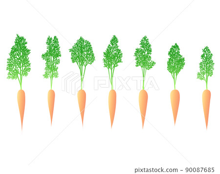 Illustration of 7 carrots - Stock Illustration [90087685] - PIXTA