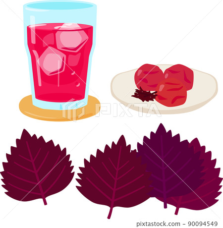 Red perilla leaves, perilla juice and dried... - Stock Illustration ...