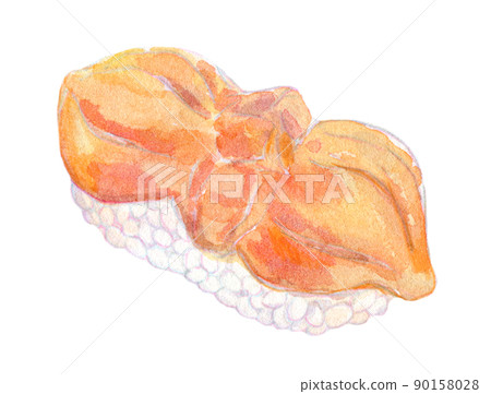 Sushi watercolor illustration ark shell - Stock Illustration [90158028 ...
