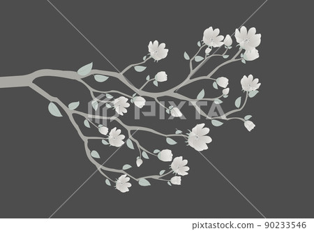 Branch soft gray flower isolated on dark tone... - Stock Illustration ...