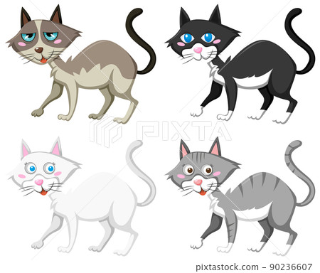 Four White Cats