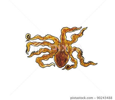 Madako - Stock Illustration [90243488] - PIXTA