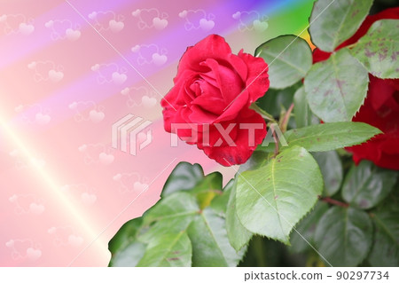 Moist red rose swayed by the wind - Stock Illustration [90297734] - PIXTA