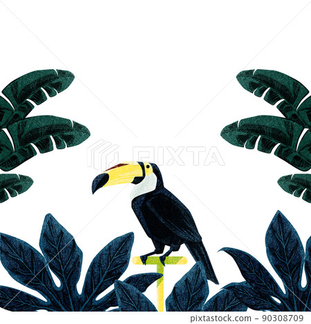 Toucan tropical frame illustration - Stock Illustration [90308709] - PIXTA