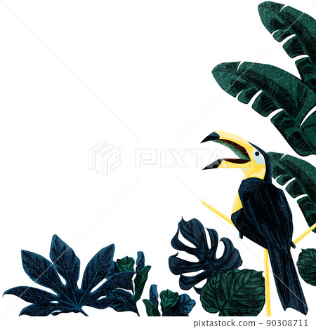 Toucan tropical frame illustration - Stock Illustration [90308711] - PIXTA