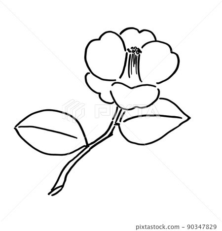 Camellia flower line drawing simple illustration - Stock Illustration ...