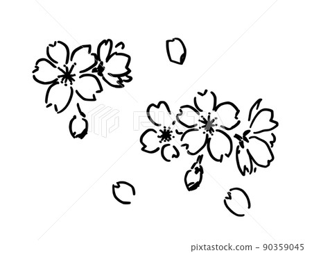 Simple illustration line drawing Sakura Fubuki - Stock Illustration ...