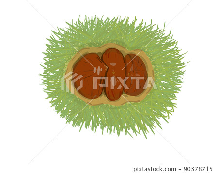 Vegetables, fruits, autumn, blue chestnuts,... - Stock Illustration ...