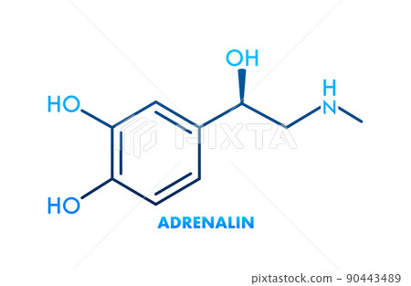 Adrenaline or adrenalin, epinephrine... - Stock Illustration [90443489 ...