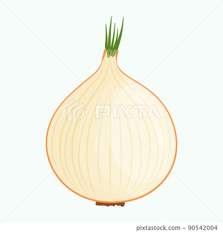 Half of onion isolated on background. Flat... - Stock Illustration ...