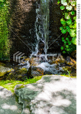 Japanese Small Waterfall Siraito Falls】famous Waterfall That