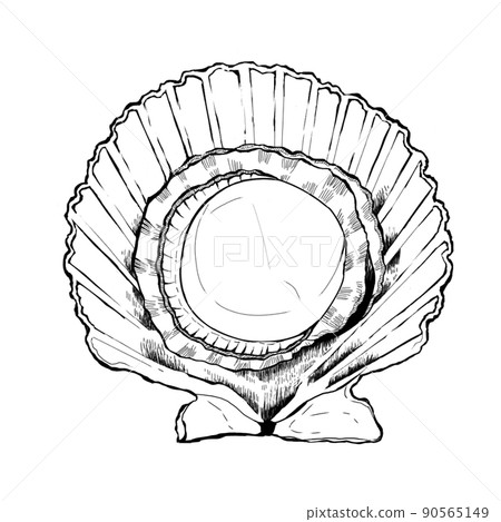 Glib shell - Stock Illustration [90565149] - PIXTA