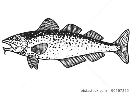 Illustration of cod fish in engraving style.... - Stock Illustration ...
