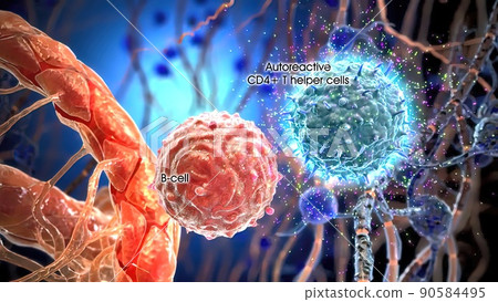 T helper cells interact on the surface of... - Stock Illustration ...