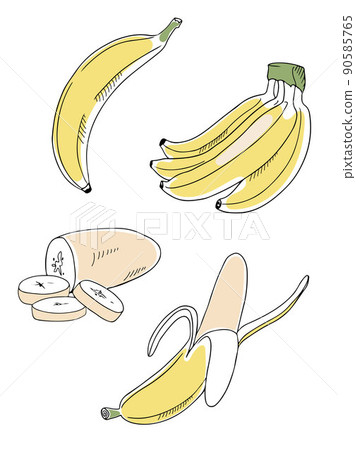 Colorful set of bananas, whole, bunch cut and... - Stock Illustration ...