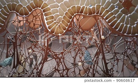 Microbiology illustration cells that protect... - Stock Illustration ...