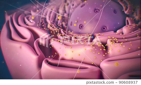 Cell nucleus and Ribosome in the science of... - Stock Illustration ...