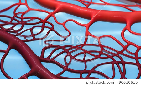 Transparent male model capillary blood flow on... - Stock Illustration ...