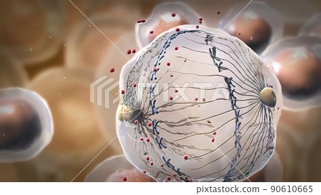 Medical 3D illustration of Cell Renewal-插圖素材 [90610665] - PIXTA圖庫