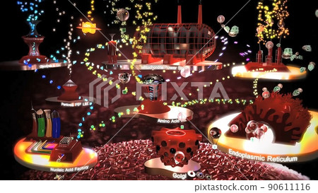 Cell replication making process 3d - Stock Illustration [90611116] - PIXTA