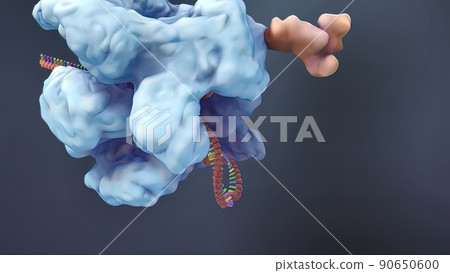 The genetic structure of 3D animated DNA - Stock Illustration [90650600 ...