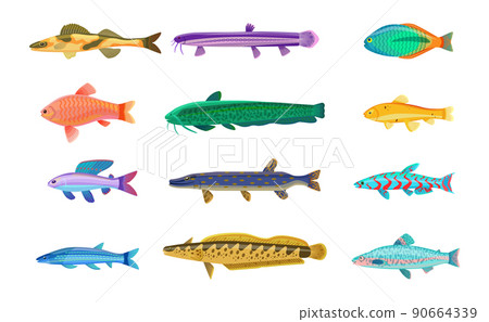 Jack Dempsey and Cichlid Set Vector Illustration - Stock Illustration ...