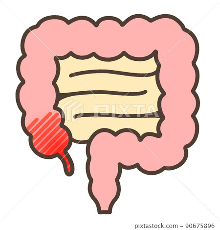 Illustrated illustration of the cecum - Stock Illustration [90675896 ...