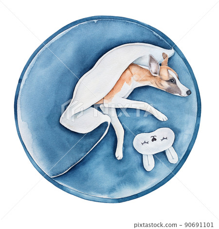 Water color illustration of smiling whippet dog... - Stock Illustration ...