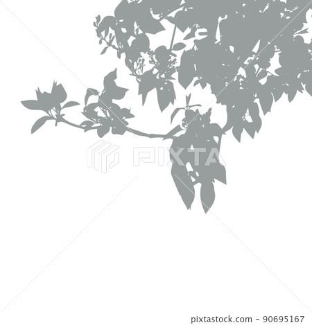 Shadow from vegetation on the wall - Stock Illustration [90695167] - PIXTA