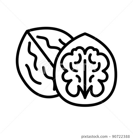 Walnut outline icon, isolated on white. Organic... - Stock Illustration ...