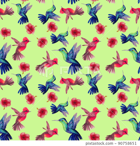 seamless pattern with hand draw hummingbirds - Stock Illustration ...