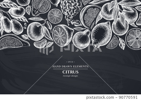 Citrus hand drawn illustration design.... - Stock Illustration ...