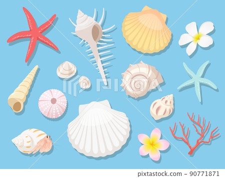 Seashell motif set - Stock Illustration [90771871] - PIXTA